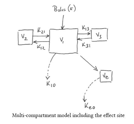 Single and multiple compartment models of drug distribution | Deranged Physiology